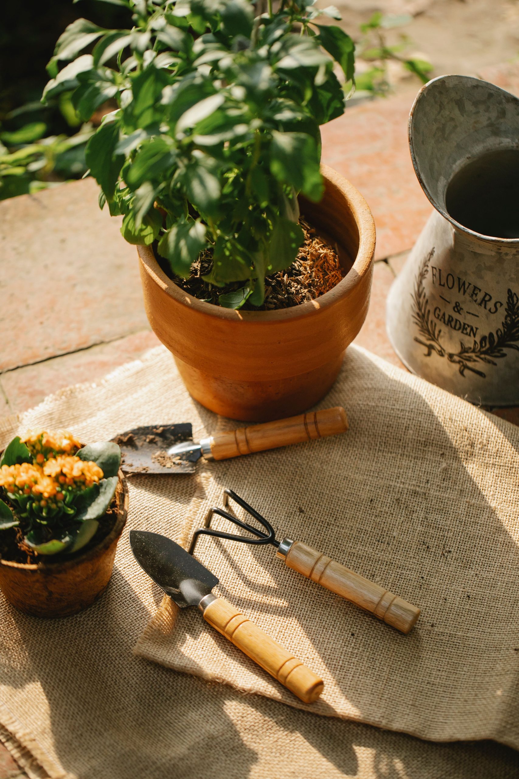 Fresh Activities for Residents with Dementia This Spring - The Beeches ...
